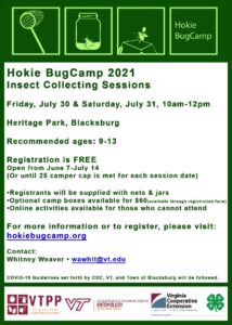 2021 BugCamp Flyer – Aquatic Entomology