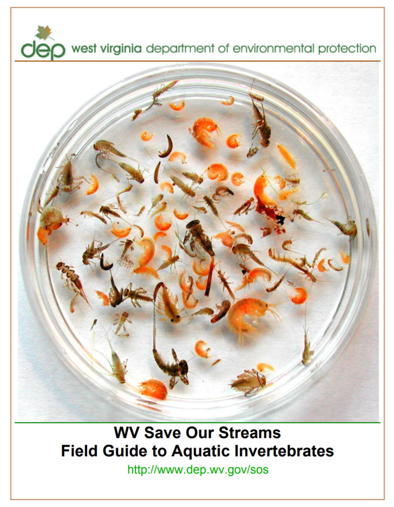 Resources – Aquatic Entomology